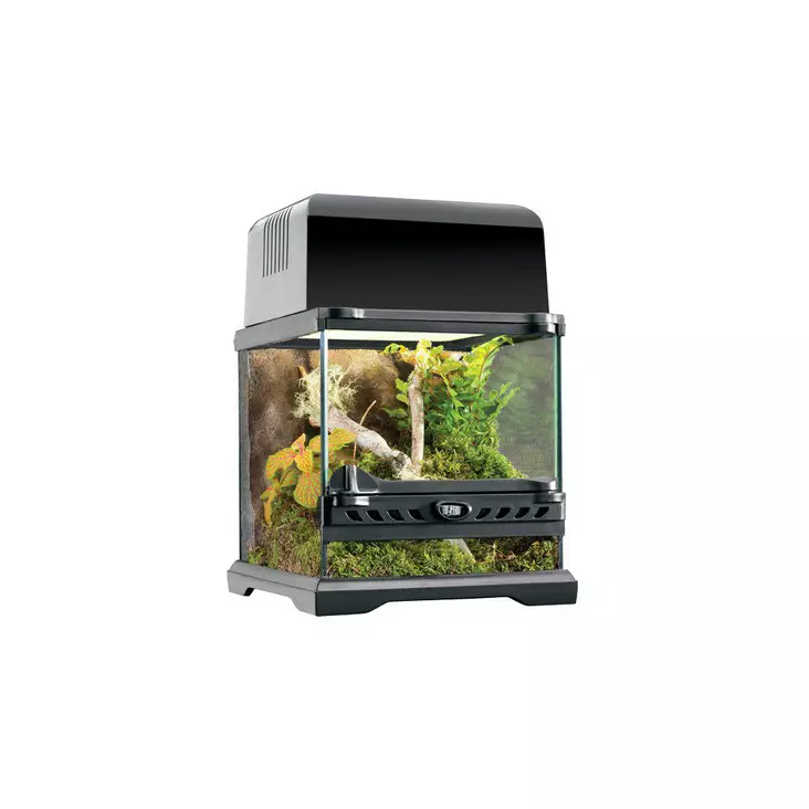 Exoterra Nano Wide 20x20x20cm Lasiterraario - Petzoo.fi verkkokauppa